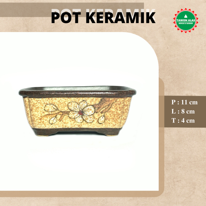 Pot Bonsai Keramik Segi Empat Persegi Panjang Kecil Mame Mini no Semen - polos | Lazada Indonesia