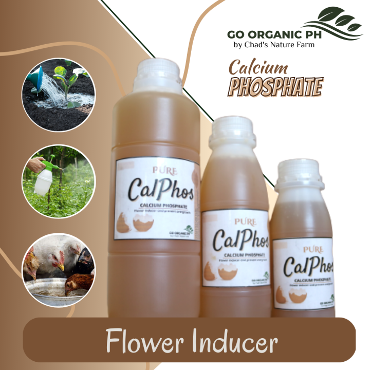 GO ORGANIC PH PURE CALPHOS (Calcium Phosphate) - Source of Calcium and ...