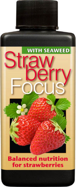 Growth Technology Strawberry Focus 100ml (Baja Strawberry, Compound ...
