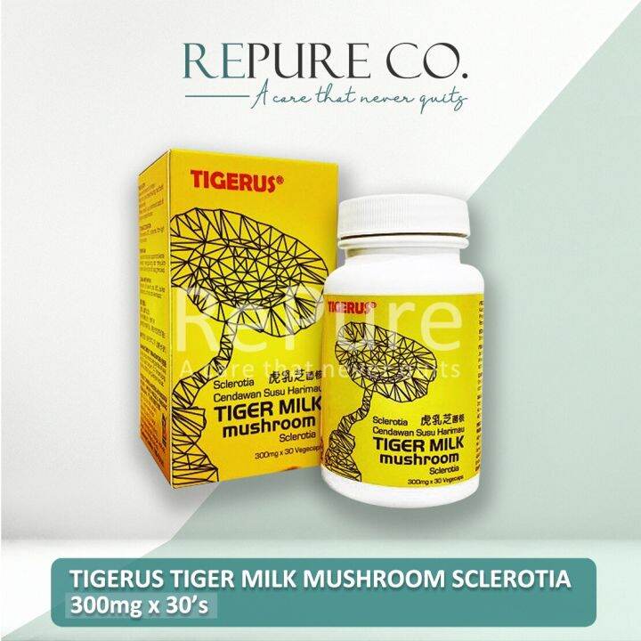 【FREE SHIPPING】TIGERUS 30'S 60'S 300MG 420MG Tiger Milk Mushroom 虎乳芝 ...
