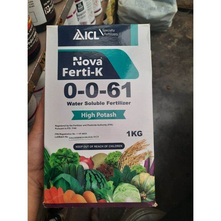 Nova Ferti-K 0-0-61 Water Soluble Fertilizer 1 Kilogram | Lazada PH