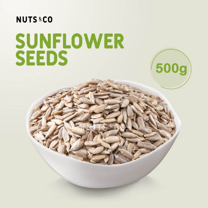 Nuts & Co Sunflower Seed 500g/1kg Kuaci Bunga Matahari 葵花籽 Halal Ready ...