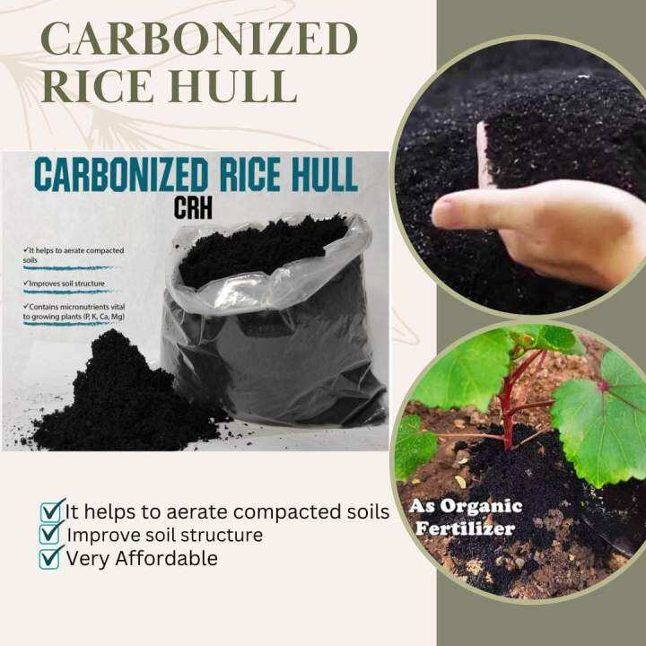 CARBONIZED RICE HULL FOR PLANTS WITH NATURAL INGREDIENTS | Lazada PH