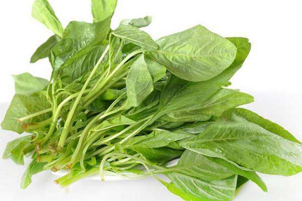 ORGANIC VEGETABLE - Bayam / Chinese Spinach 200g 有机苋菜 | Lazada