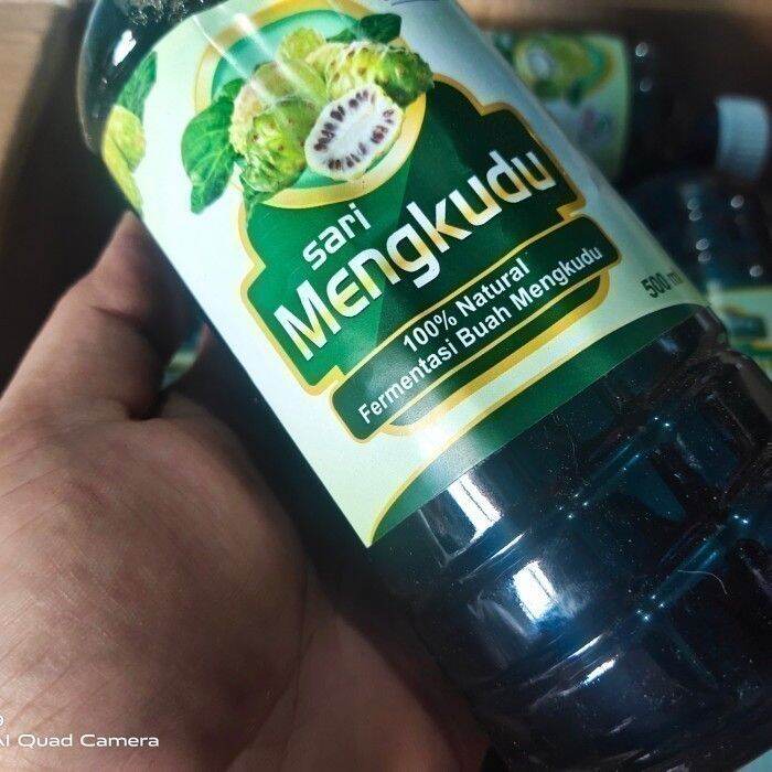 Sari Buah Apel MIx Buah Mengkudu 1 Liter Minuman Organik Multivitamin ...