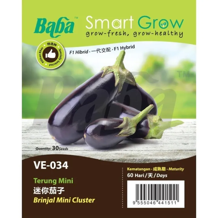 Baba VE-034 Benih Terung Mini / Sayur / Smart Grow Brinjal Mini Cluster ...