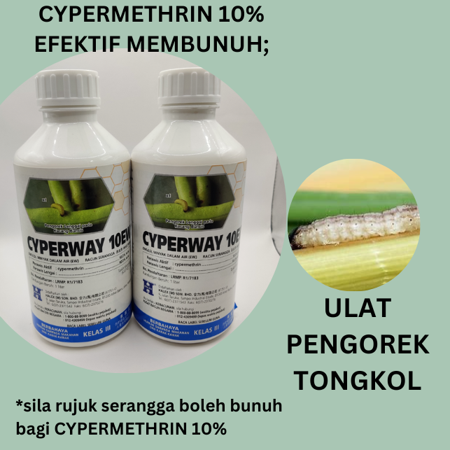 Racun Cypermethrin 10% kutu daun trip kepinding nyamuk pelombong jambu ...