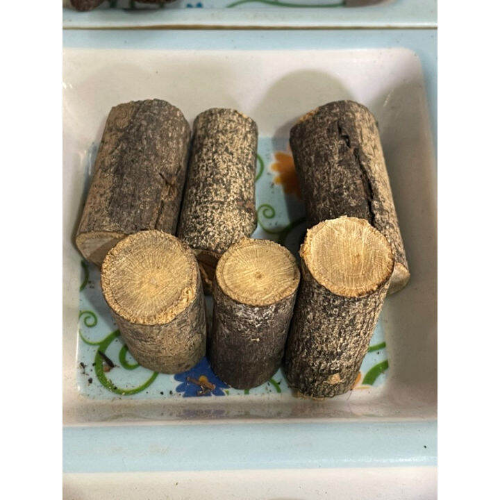 Kayu TAS JANTAN HUTAN Asli Dijamin | Lazada