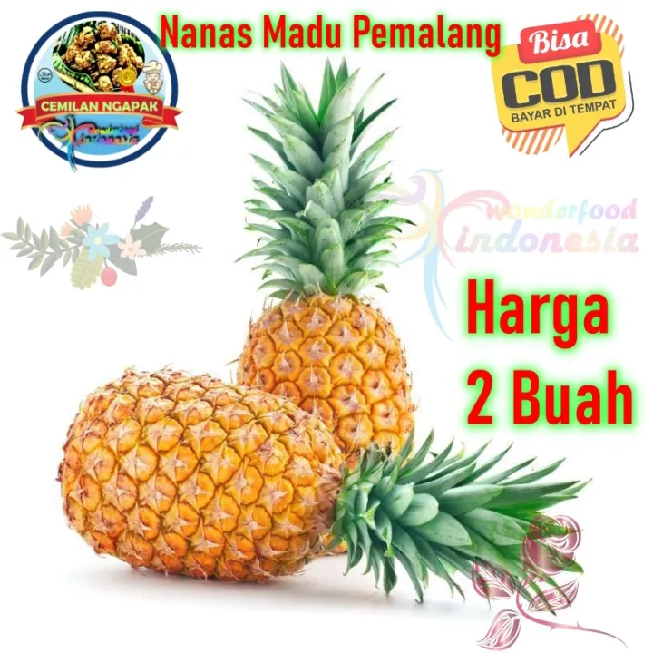 Nanas Madu Khas Pemalang 2 Buah | Lazada Indonesia