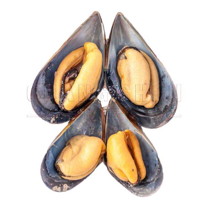 Half Shell Mussel 半壳蚝 907 Gram/pkt *DELIVERY IN PENANG ISLAND ONLY ...