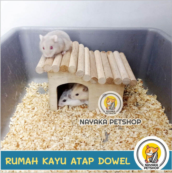 Rumah Kayu Hamster Atap Dowel Kandang Tupai Wooden Home House Sarang ...