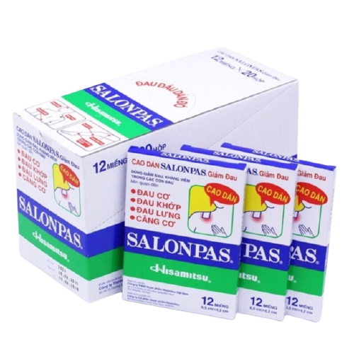 Salonpas Box of 10 Patches | Lazada PH