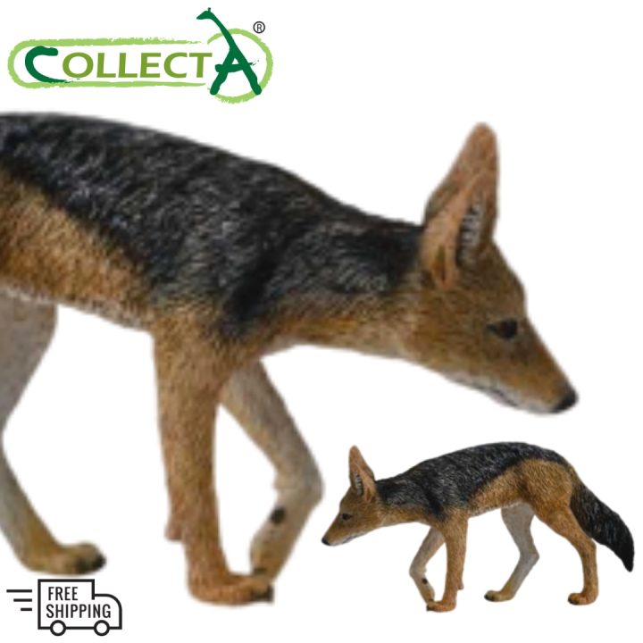 Black-Backed Jackal - Collecta 88665 Wild Life Animal Action Figures ...