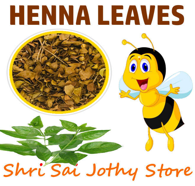 DRIED MARUTHANI ILLAI / HENNA LEAVES / LAWSONIA INERMIS / DAUN INAI ...
