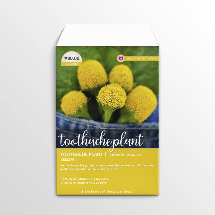 Yellow Toothache Plant Seeds | Lazada PH