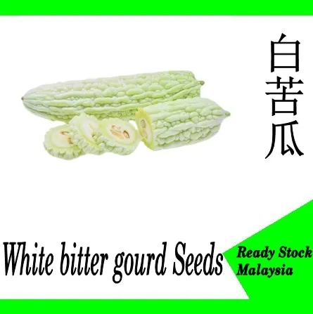 White bitter gourd Seeds Biji Benih Peria Putih Sayur Sayuran | Lazada