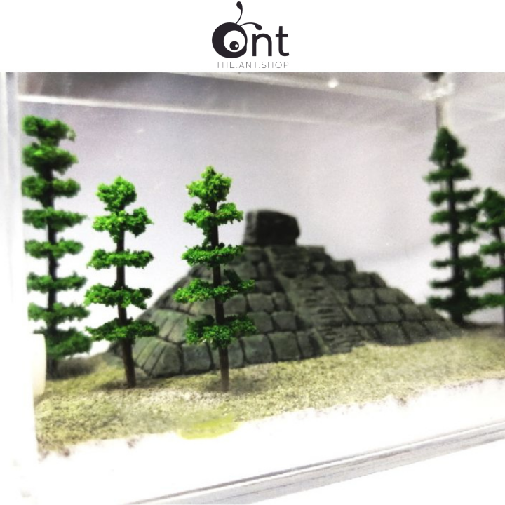 Ant Outworld - Mayan Civilisation Outworld - Ant Farm Ant Keeping Ant ...
