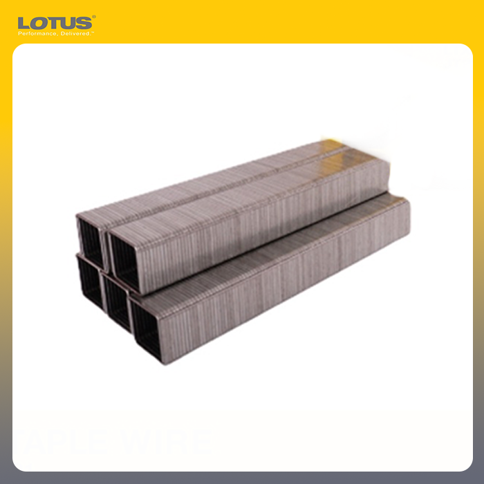 Lotus T50 Staples Wire (6mm, 8mm, 10mm, 12mm, 14mm) | Lazada PH