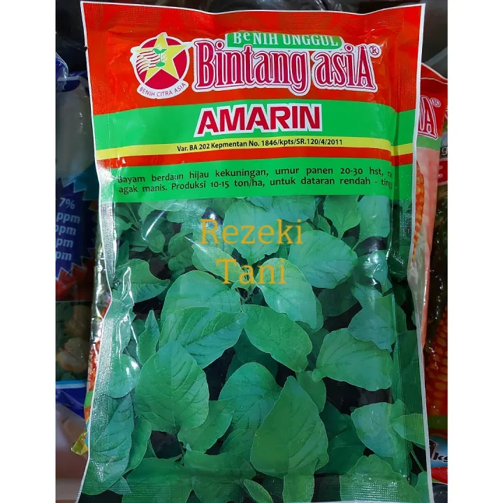 Benih Bayam Hijau Amarin 500gr Bintang Asia | Lazada Indonesia