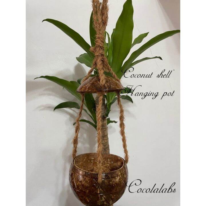 Hanging pot coconut shell pot / coco pot / plant pot | Lazada PH