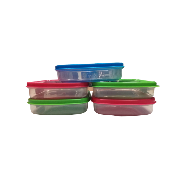 Food Keeper, 5x4x1 Inch Slim Flat, Assorted Colors, 5pcs | Lazada PH
