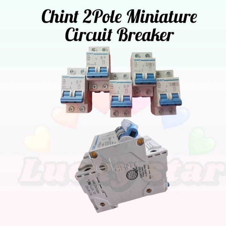 CHiNT 2 Pole MCB Miniature Circuit Breaker SK Electrical | Lazada PH