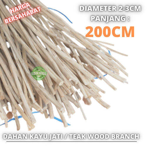 teak wood branch~ranting kayu macrame~ranting kayu jati~200 cm sudah ...