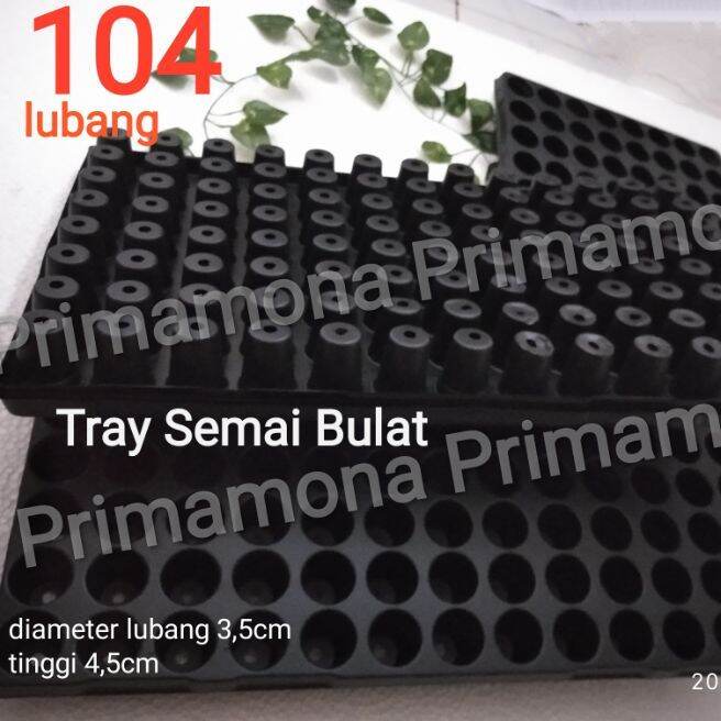 Tray Semai Tipe Bulat Lubang 104 | Lazada Indonesia