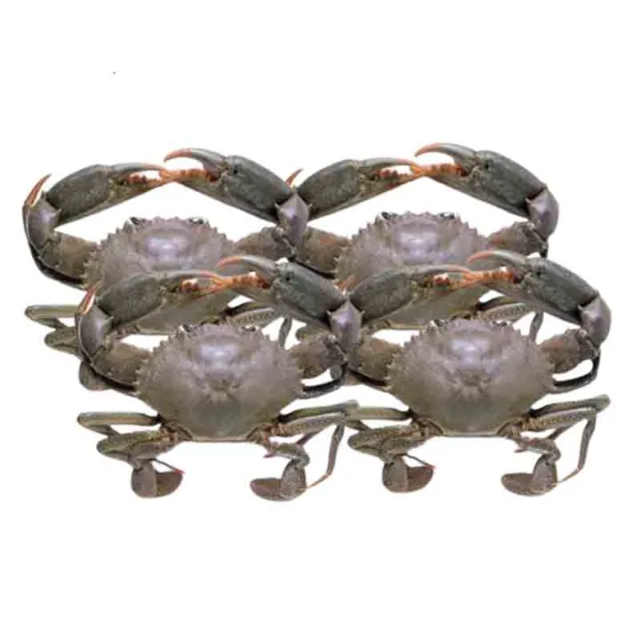 SRS Fresh Alimango 500g. | Lazada PH