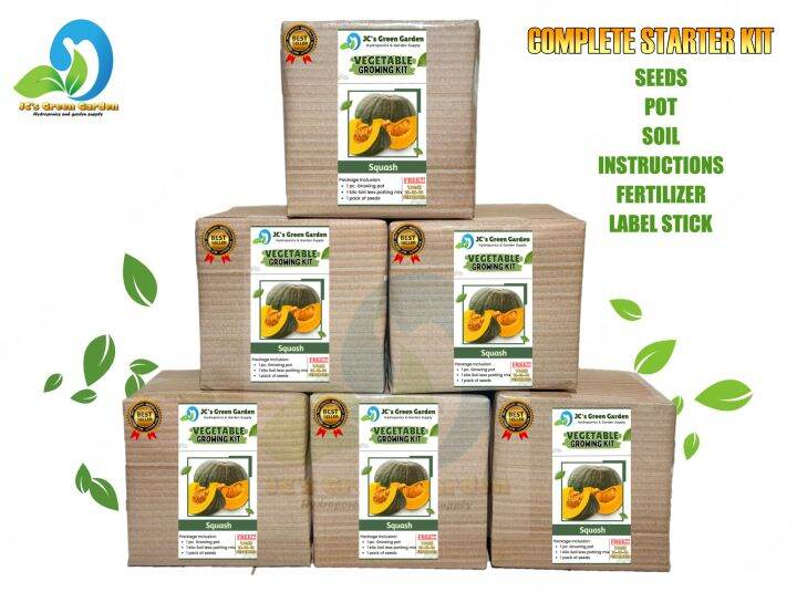KALABASA GROWING KIT - READY TO USE/COMPLETE PACKAGE/POT/SOIL/SEEDS ...
