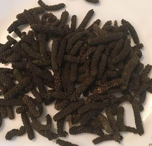 ARISI THIPPILI / PIPPALI / PIPER LONGUM / INDIAN LONG PEPPER 150GMS ...