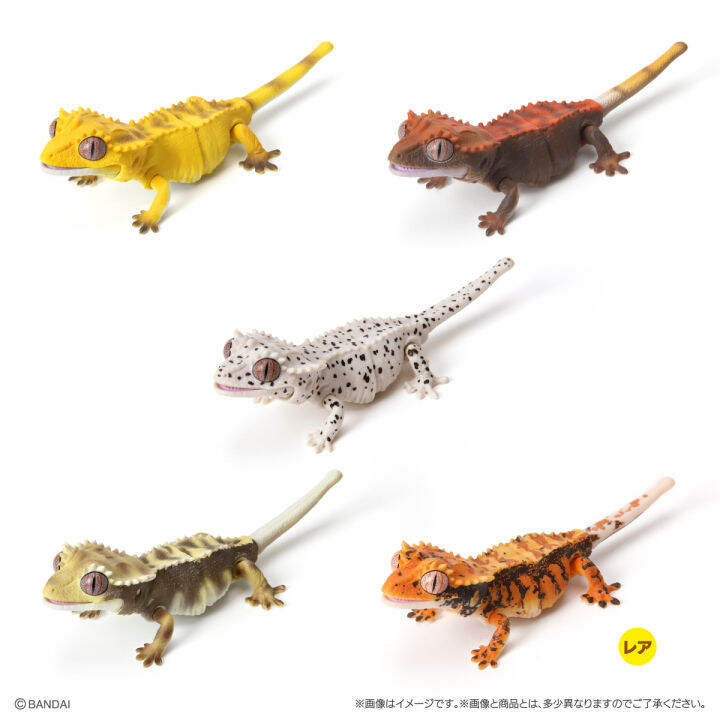 แยก Bandai THE DIVERSITY OF LIFE ON EARTH REPTILS CRESTED GECKO ...