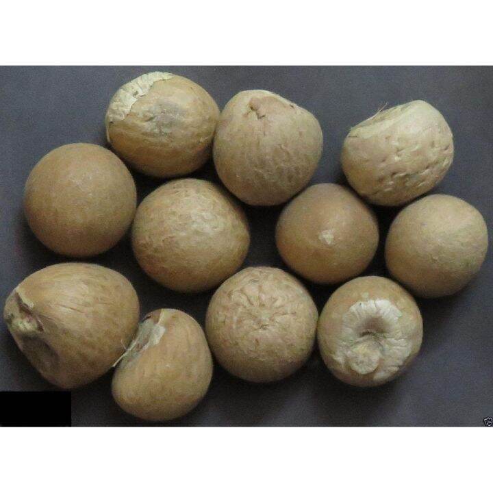 Imported Whole Supari Natural 25 Grams -- from India | Lazada PH
