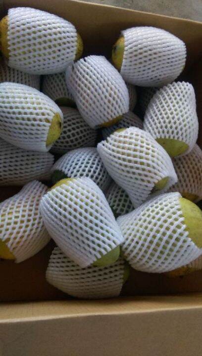 【GW】Harumanis perlis harumanis original perlis mangga harumanis ... 【GW】Harumanis perlis harumanis original perlis mangga harumanis ...