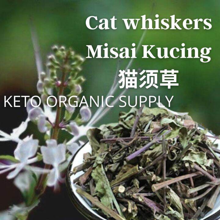 Cat whiskers Tea Leaf 猫须草 养肾草 Misai Kucing Original Asli Teh Misai ...