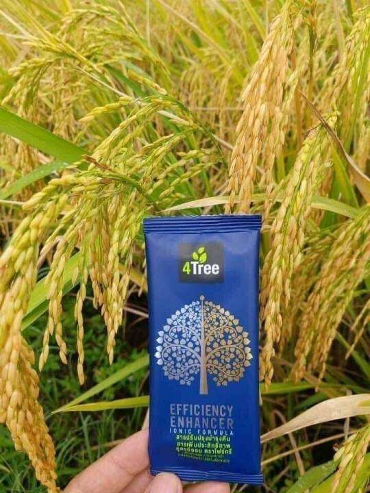 4Tree (โฟร์ทรี) 1 ซอง ใช้ได้15-20 ไร่ สารเสริมประสิทธิภาพ สูตรอิออน พืชโตเร็ว ของเเท้100% พร้อม ...