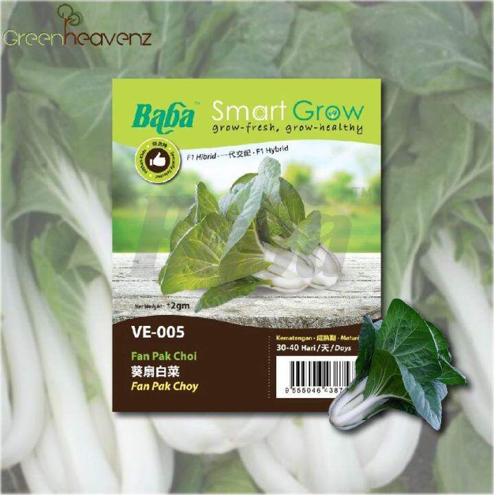 GHZ - Baba Smart Grow Seeds VE-005 Fan Pak Choy (Fan Pak Choi) Vege ...