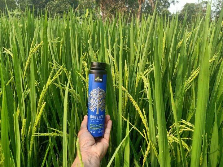 💥4Tree Booster💥 พลัง 4🔵1 ขวด ขนาด 250 ml. | Lazada.co.th