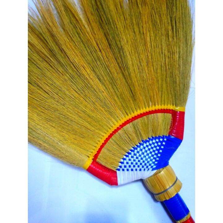 practical Baguio Jumbo Walis Tambo /Softbroom | Lazada PH