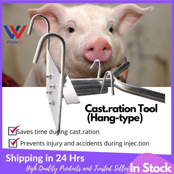 Hang-type Piglet Ca.s.t.ration holder (hang type) Stainless Steel Tool ...