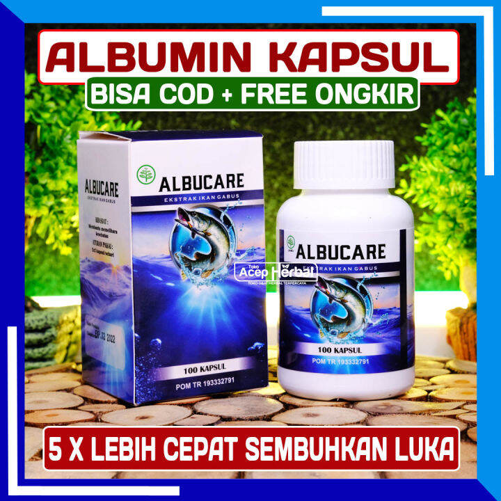 ALBUCARE ALBUMIN KAPSUL NANOTECHNOLOGY ORIGINAL PREMIUM QUALITY ...