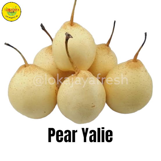 pear yalie 1 kg manis | Lazada Indonesia