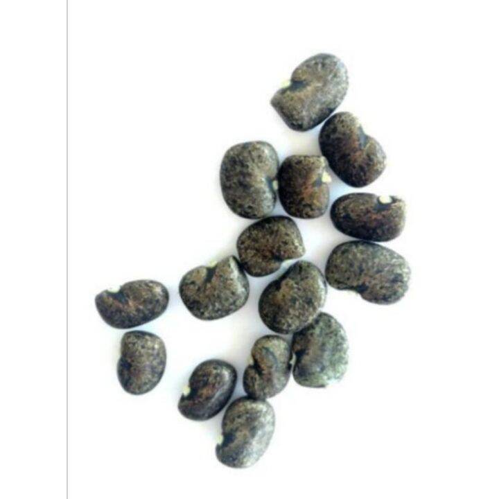 20pcs Butterfly blue pea seeds single petal/20颗单花瓣蓝花种子 | Lazada