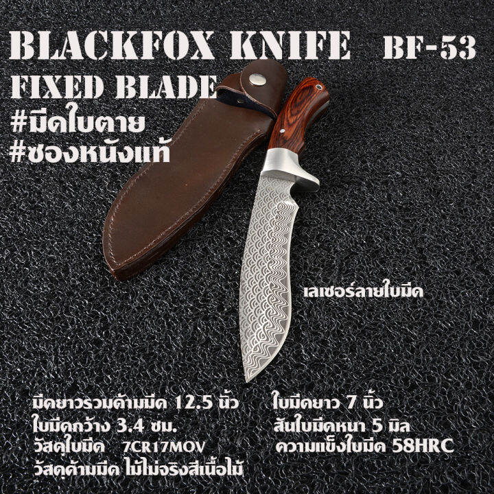 มีดใบตาย Blackfox Medium Size Full Tang ใบมีดเลเซอร์ลาย 2 ด้าน ใบมีดยาวรวมด้าม 12 นิ้ว.#BF-53 ...