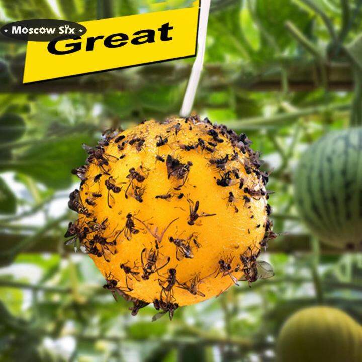 Ball Fruit Fly Catcher Pest Control Gnat Traps 8cm Flying Insects Traps ...