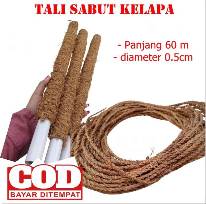 Tali Sabut Kelapa Panjang 60 meter, Tali Tambang Sabut | Lazada Indonesia