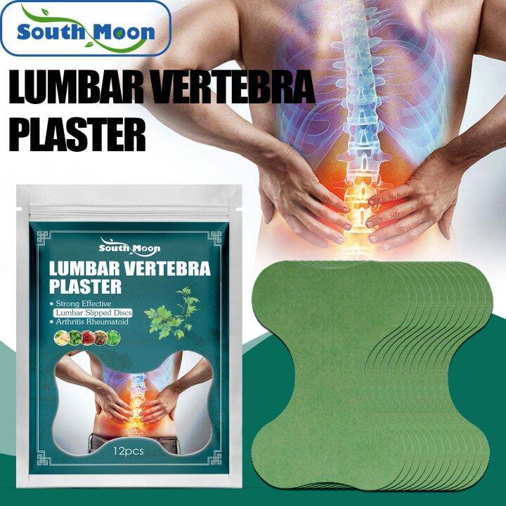 Plester Vertebra Lumbar Bulan Selatan, Plaster Wormwood Lumbar Pereda ...
