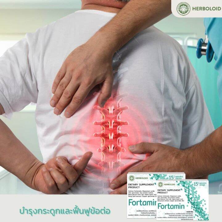 FORTAMIN :Herboloid ผลิตภัณฑ์บำรุงกระดูก และข้อต่อ - 4 แถม 1 | Lazada.co.th