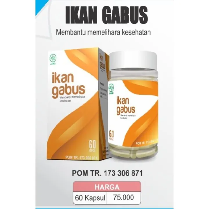 IKAN GABUS ato KUTUK Albumin Protein Tinggi | Lazada Indonesia