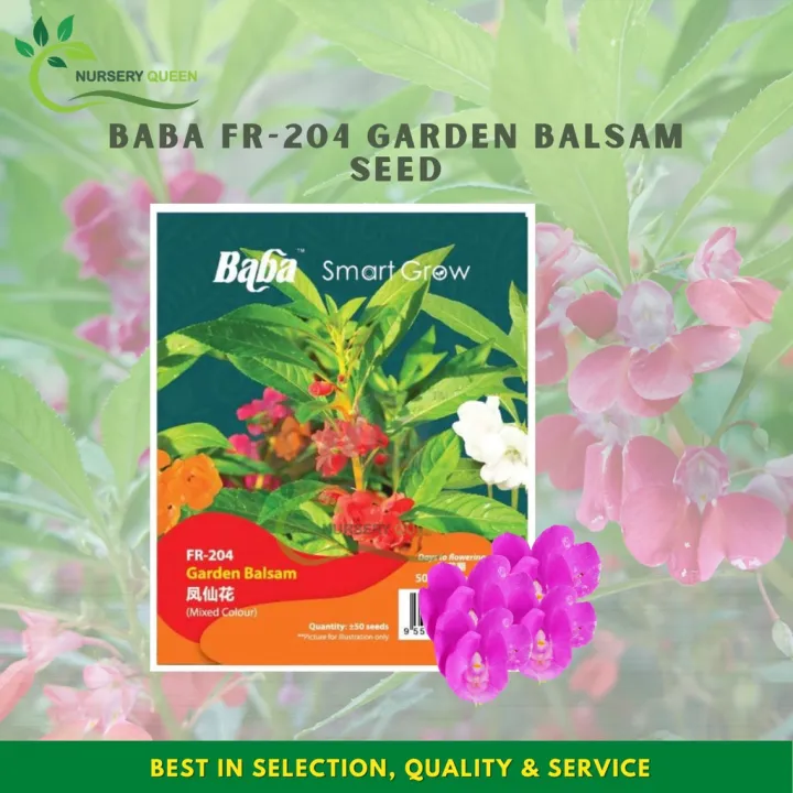 NK Baba Seed FR-204 Garden Balsam Seed Smart Grow Flower Seed Garden ...